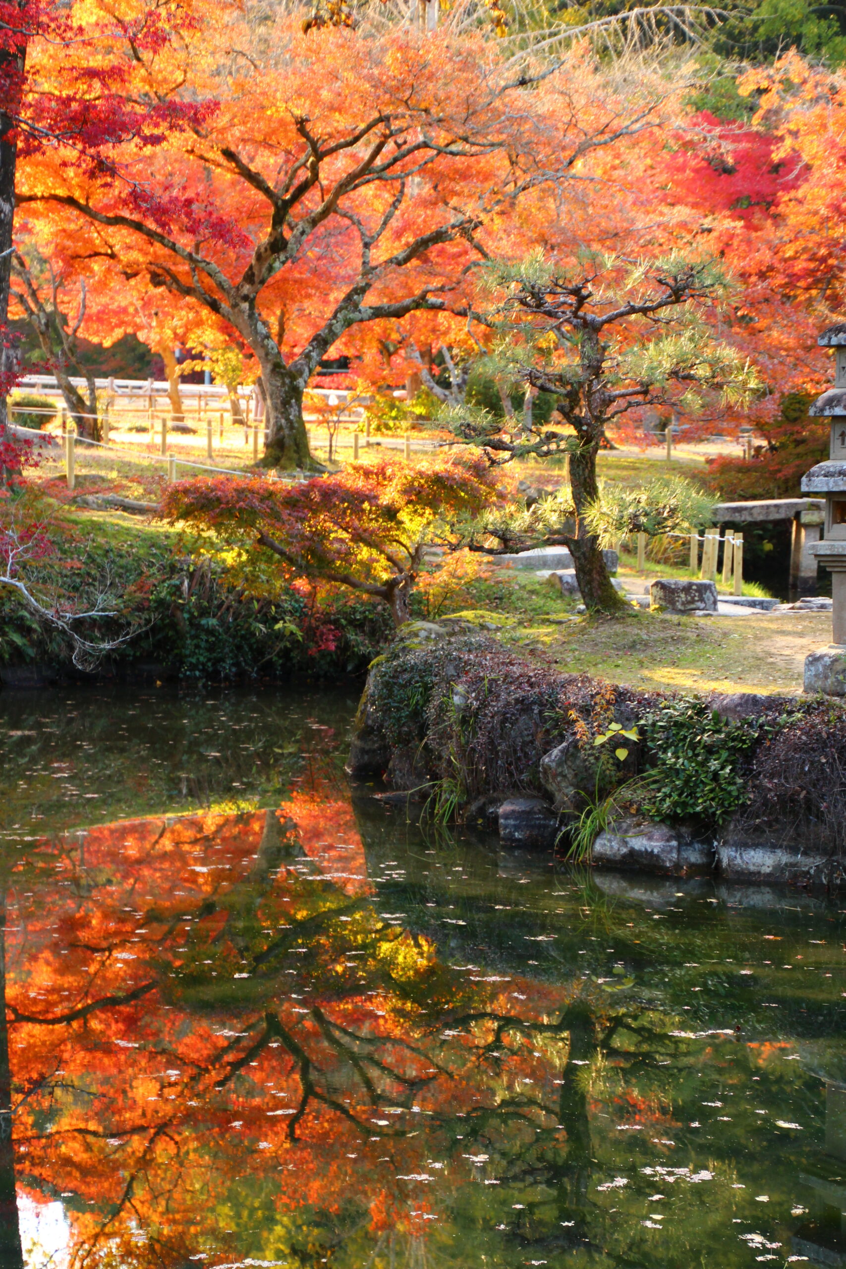 森のワークショップ Natree【ナチュリー】 - 東京牧場株式会社